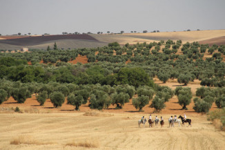 LAYOS CAMP TOLEDO - SoloCampamentos