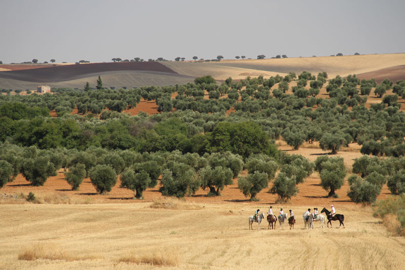 LAYOS CAMP TOLEDO - SoloCampamentos