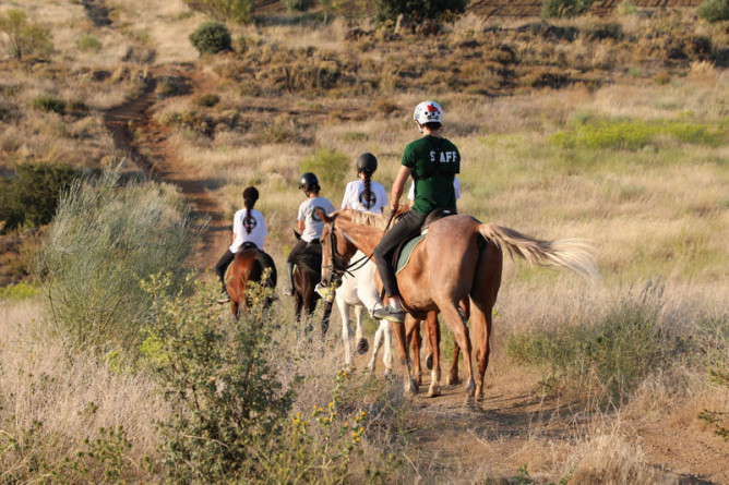 LAYOS CAMP TOLEDO - SoloCampamentos